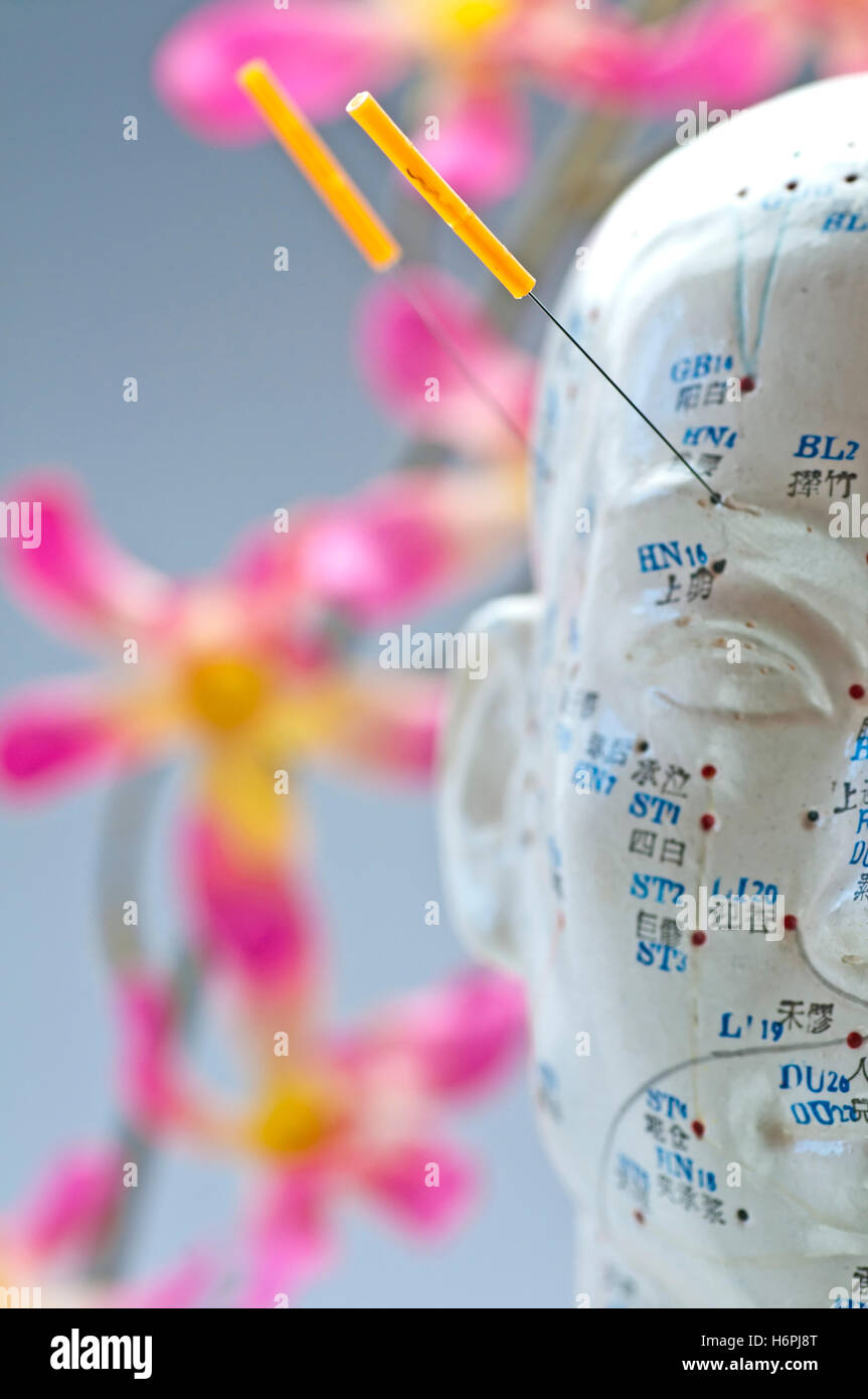 acupuncture head model Stock Photo - Alamy