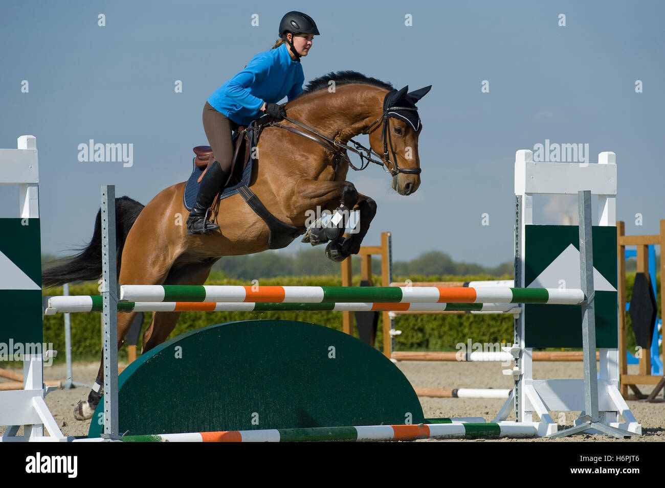 Equitation hi-res stock photography and images - Alamy