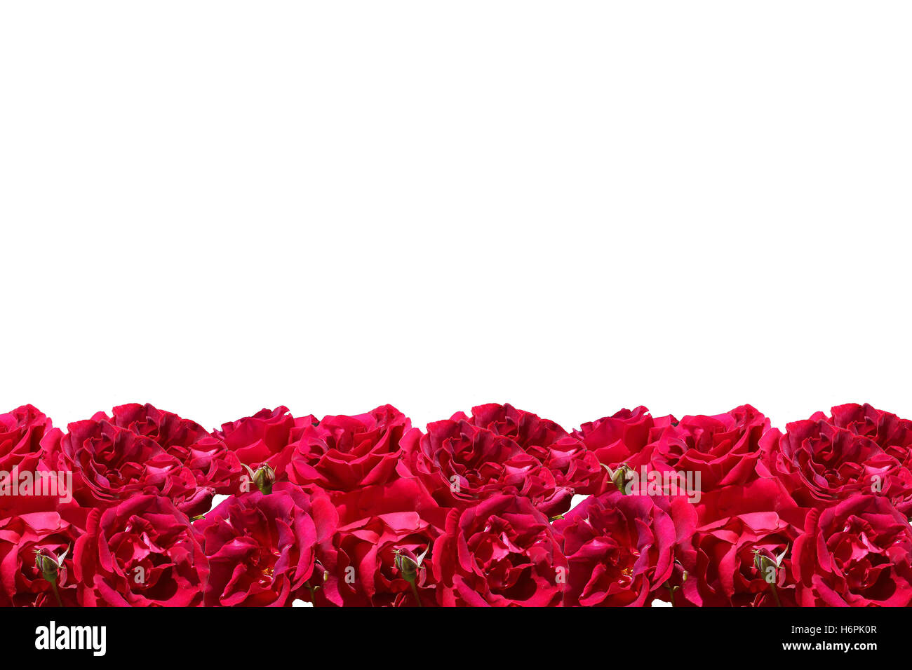 Isolated Red Roses Frame for background or wallpaper Stock Photo - Alamy