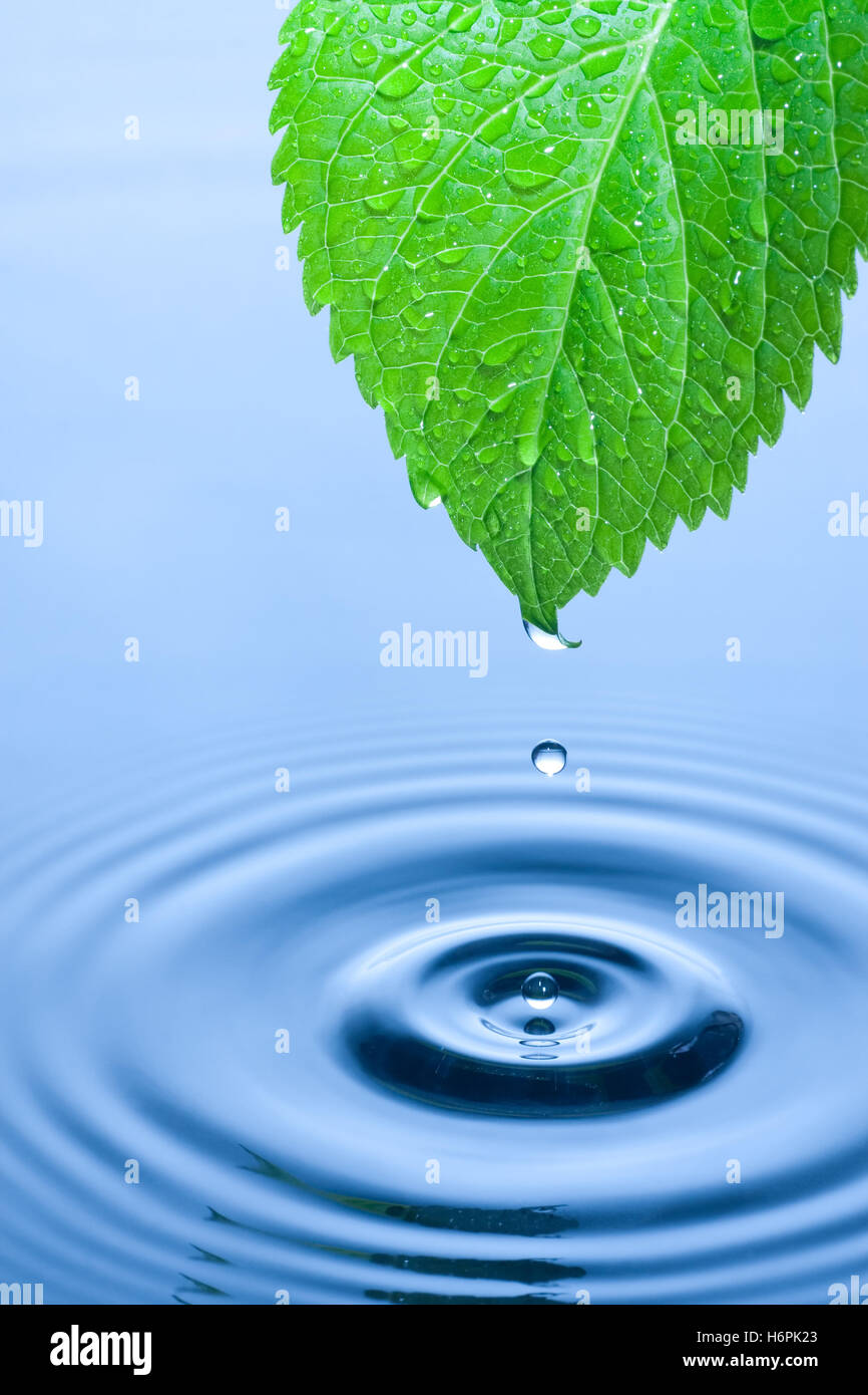 Impact raindrop drop surface fresh hi-res stock photography and images ...