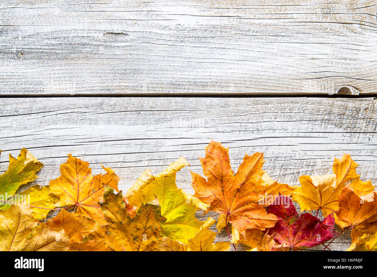 Autumn table top hi-res stock photography and images - Alamy
