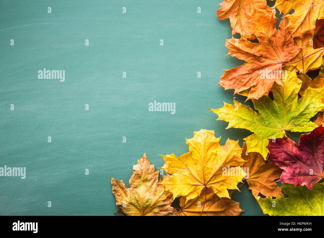 Colorful autumn leaves on chalkboard. Top view Stock Photo - Alamy