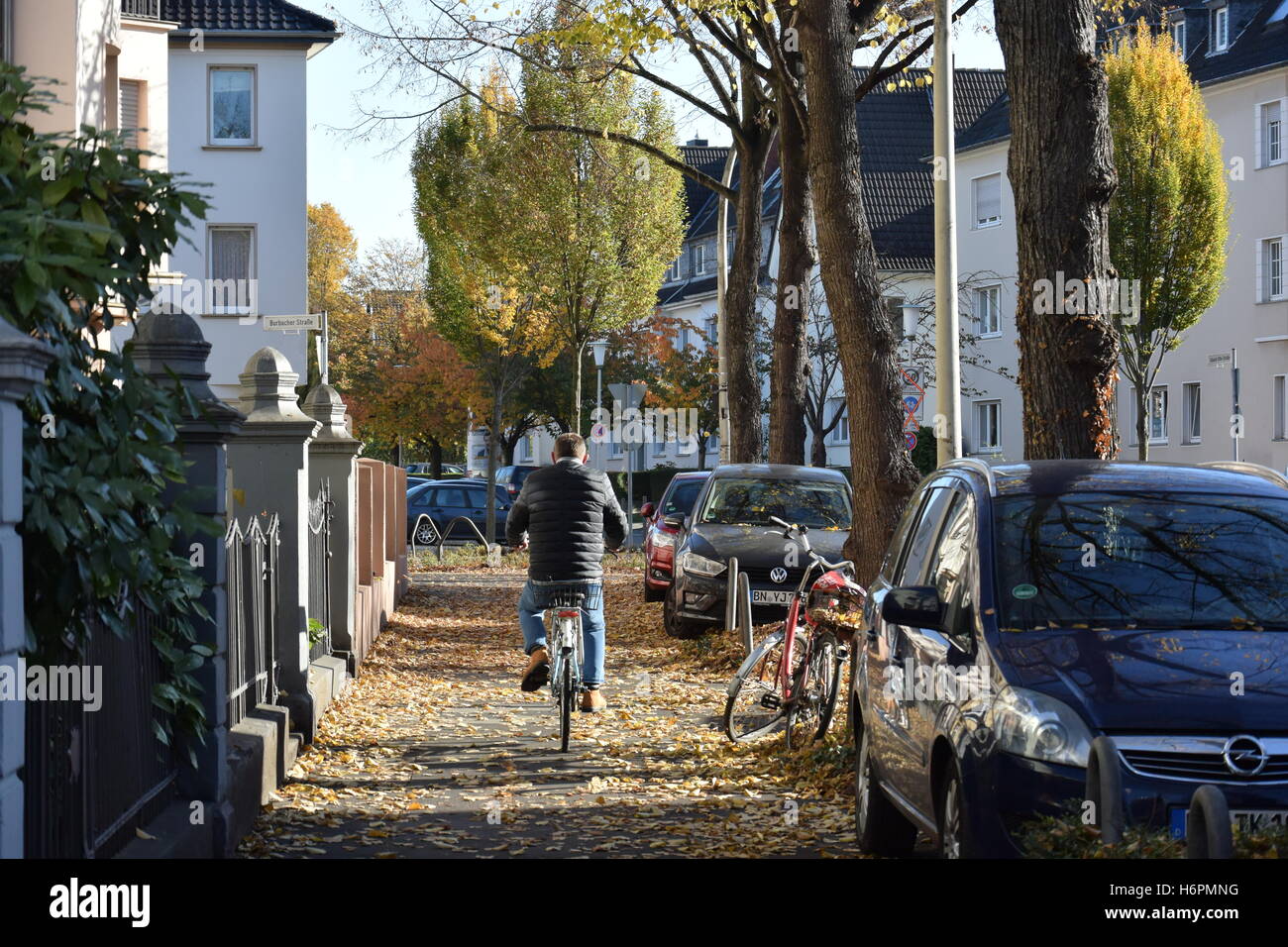 Street of leaves hi-res stock photography and images - Alamy