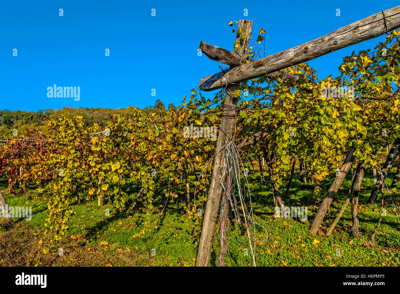 Italy Piedmont Canavese vineyards and countryside near Caluso Stock ...