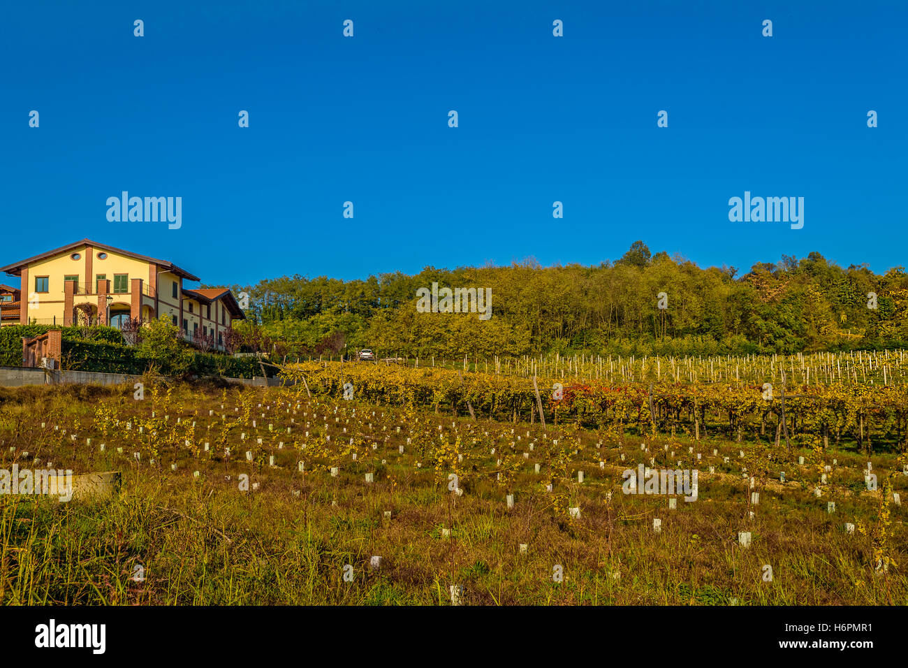 Italy Piedmont Canavese vineyards and countryside near Caluso Stock ...