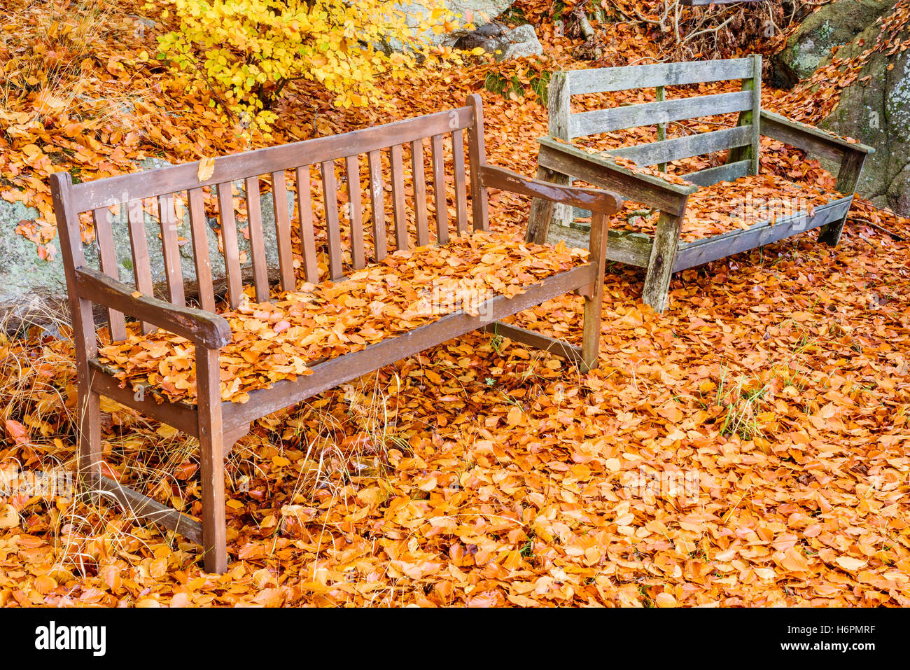 Bench in fall hi-res stock photography and images - Alamy