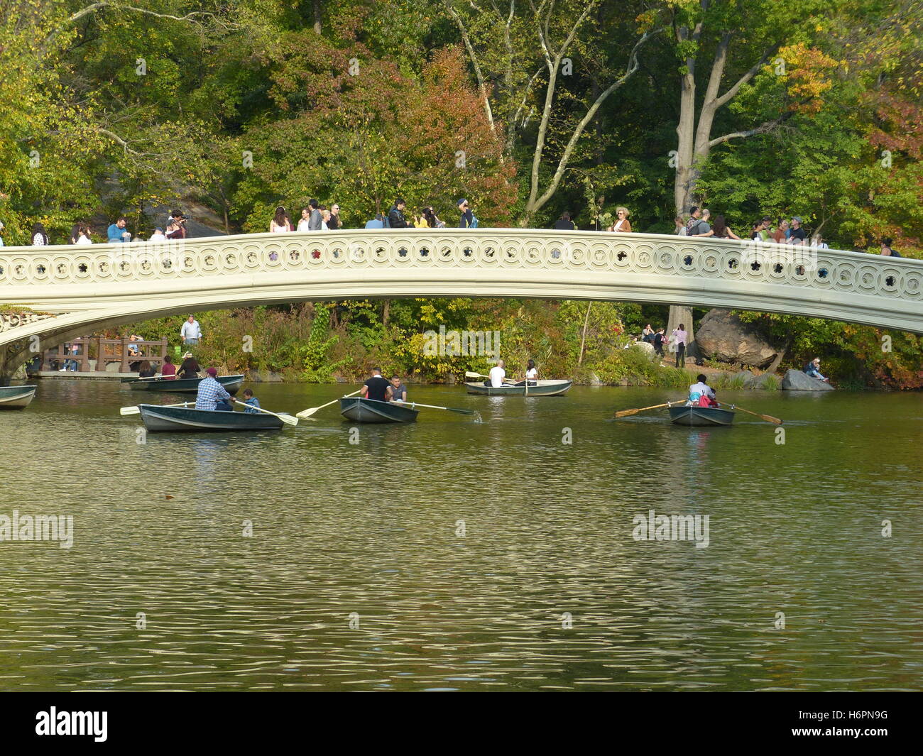 Row boat park hi-res stock photography and images - Alamy