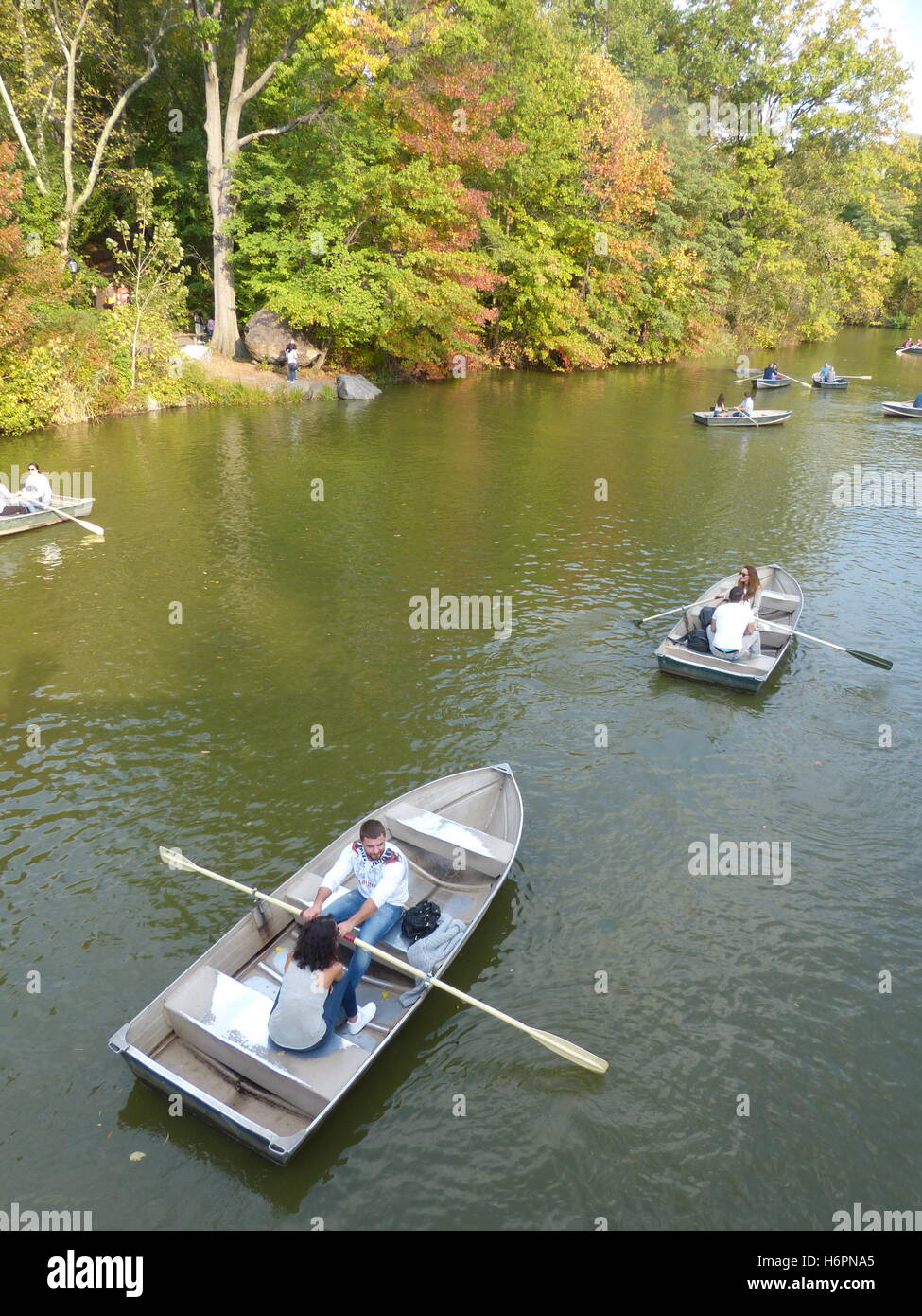 Row boats with couples in Central Park, NY Stock Photo - Alamy