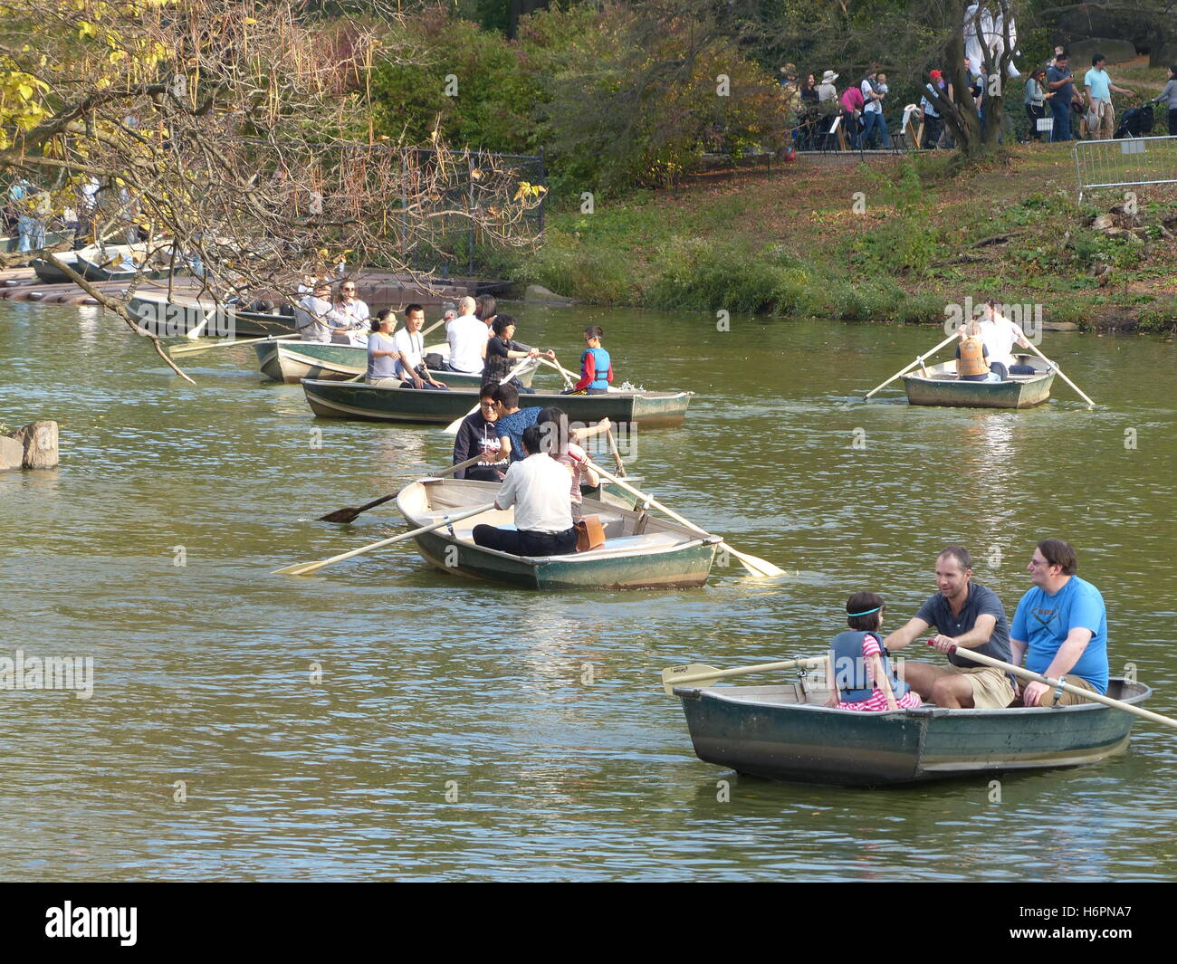 Row boats with couples in Central Park, NY Stock Photo - Alamy