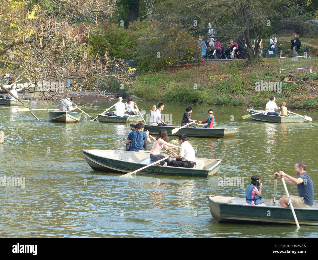 Row boats with couples in Central Park, NY Stock Photo - Alamy