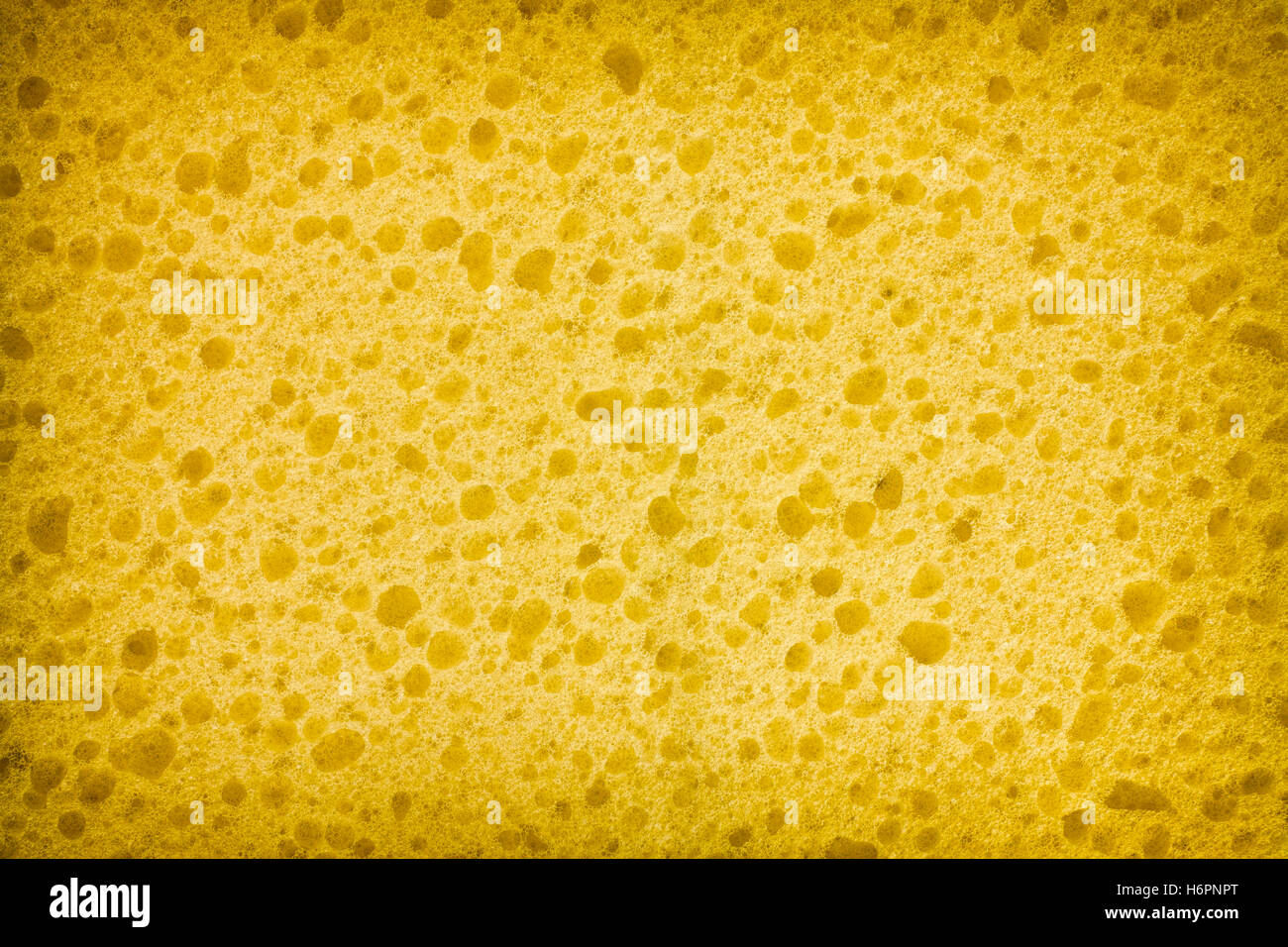 Square Yellow Sponge