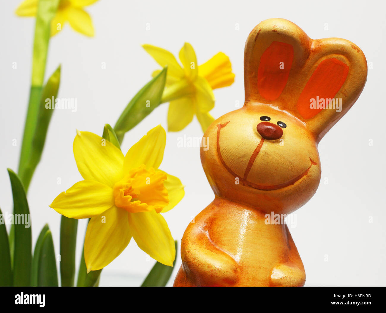 Laughing rabbits hi-res stock photography and images - Alamy