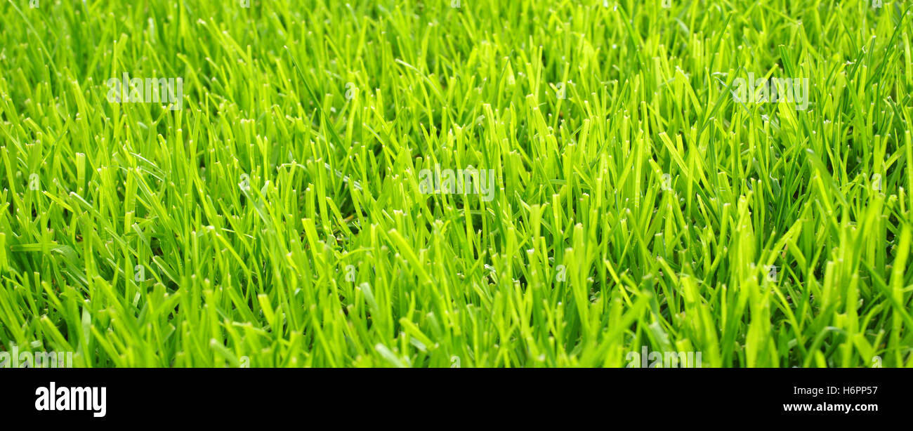 Football turf texture hi-res stock photography and images - Alamy