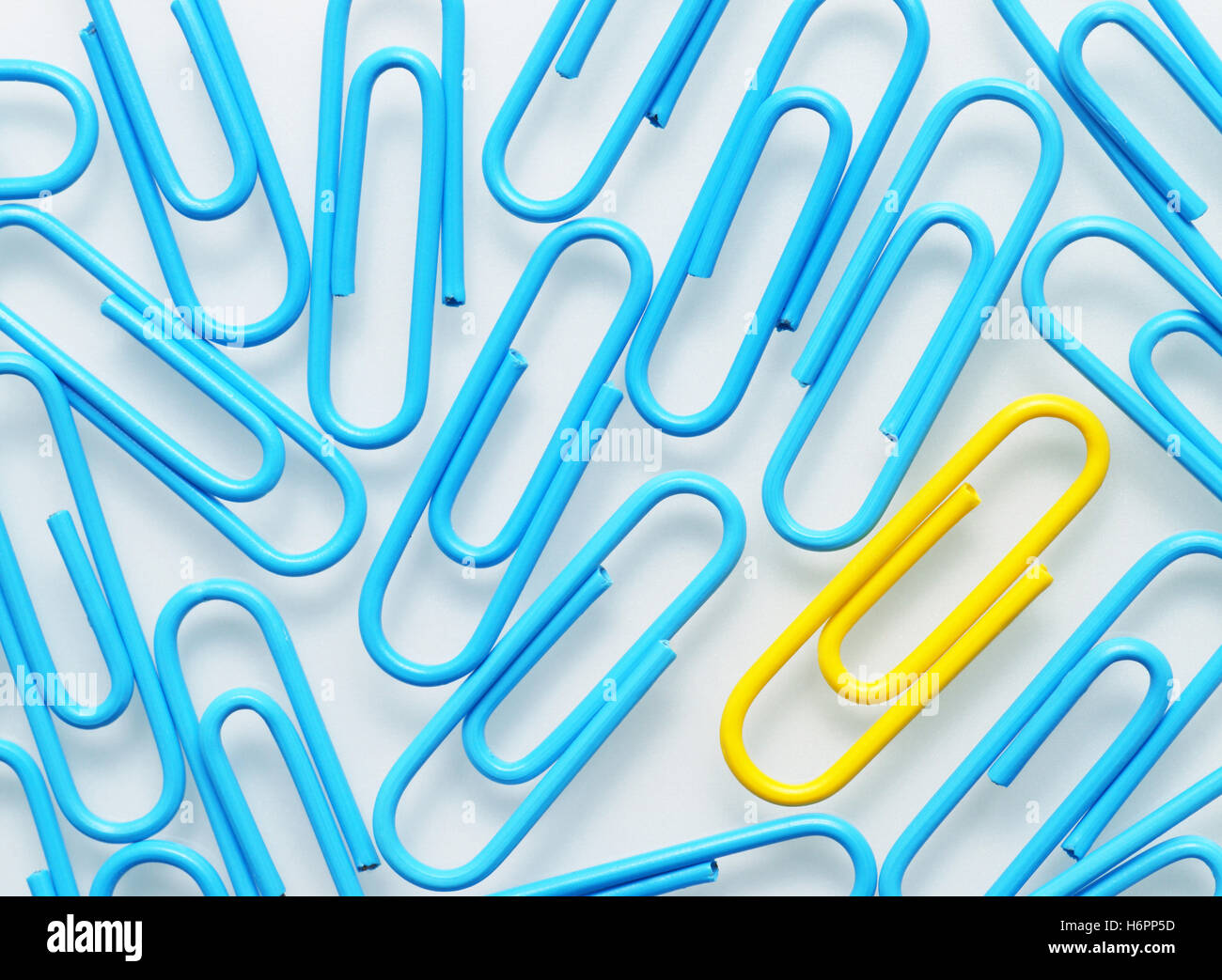 paperclip macro - blue yellow - paper clips Stock Photo - Alamy
