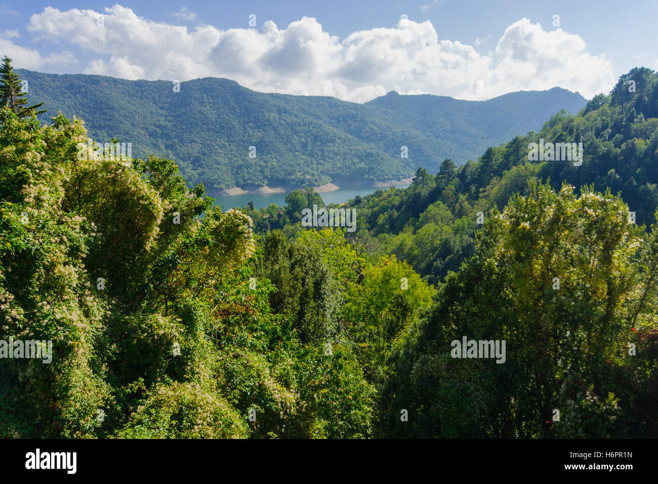 View of Tolla Lake and Prunelli Gorge in Corsica, France Stock Photo ...