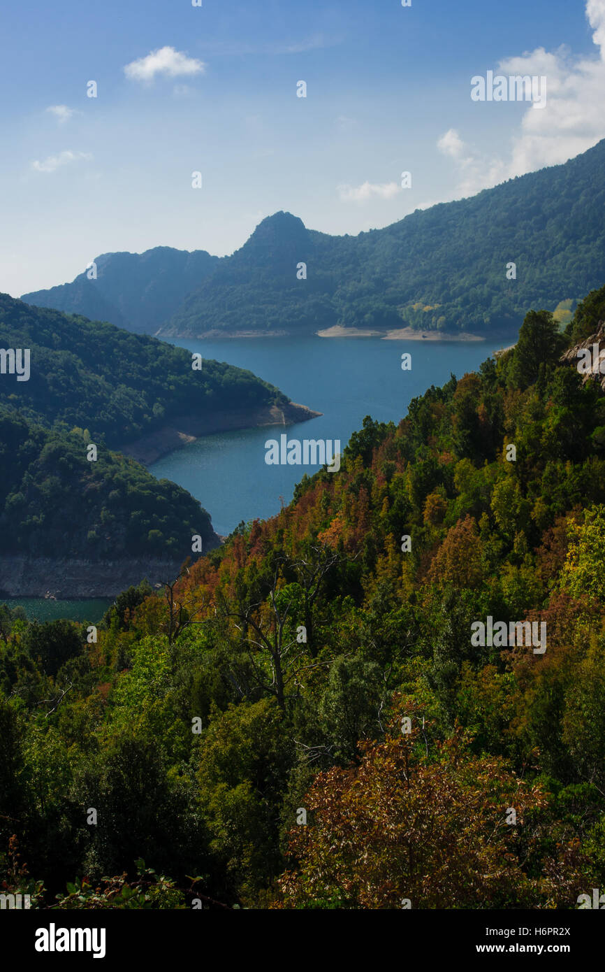 Prunelli hi-res stock photography and images - Alamy