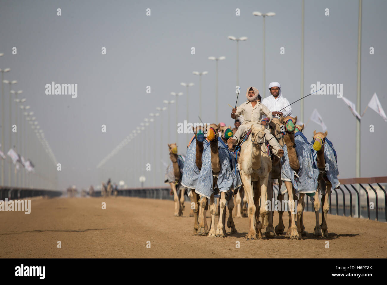 Camel desert dubai racing hi-res stock photography and images - Alamy
