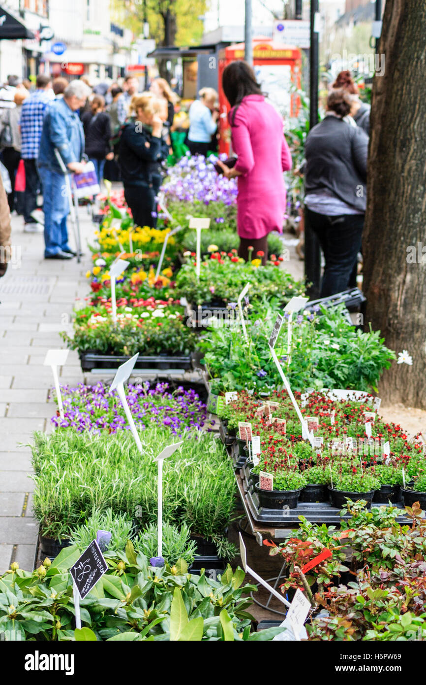 A weekend street market on Holloway Road, North London, UK Stock Photo ...