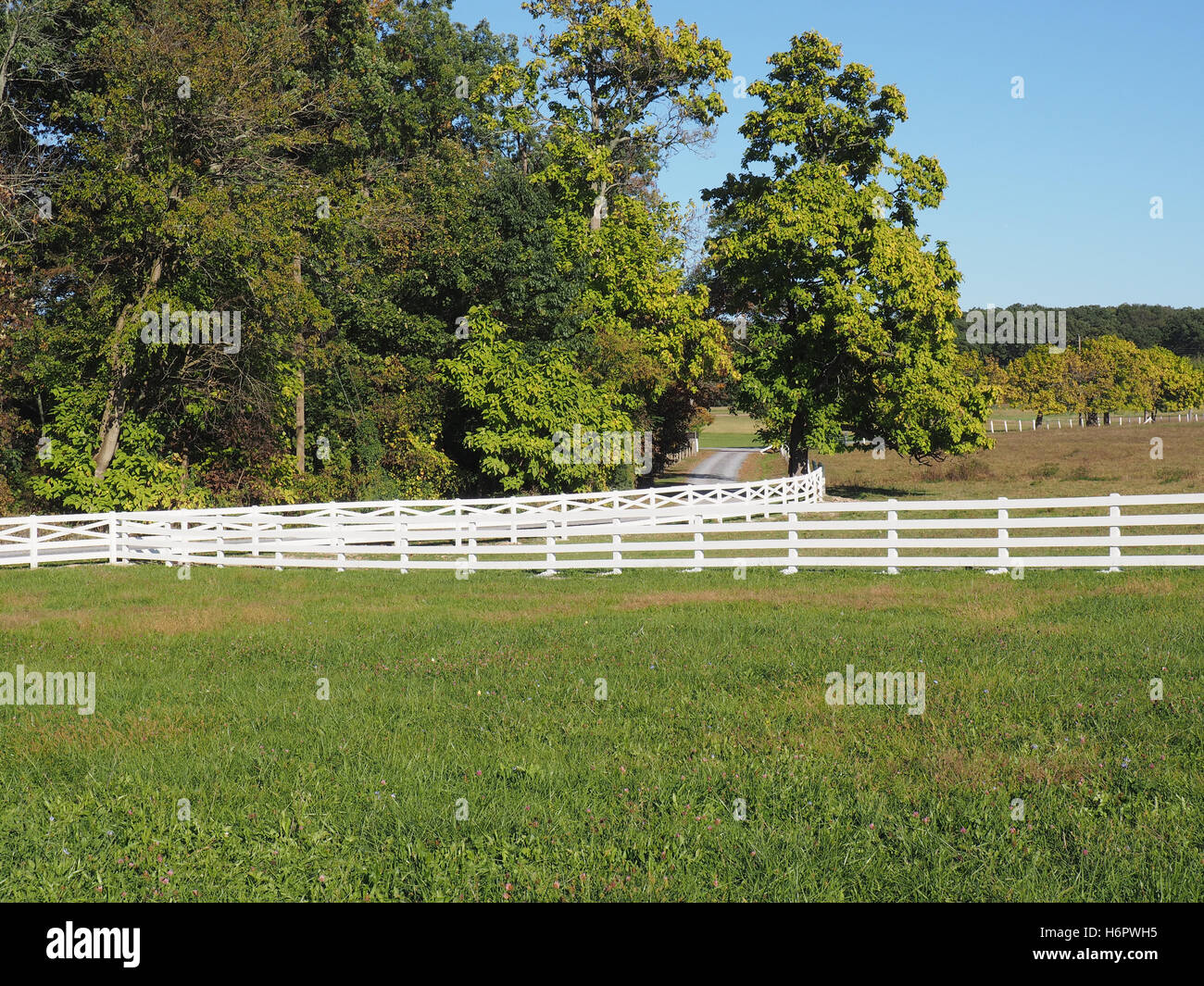 white fence by a field and a country lane in Pennsylvania Stock Photo ...