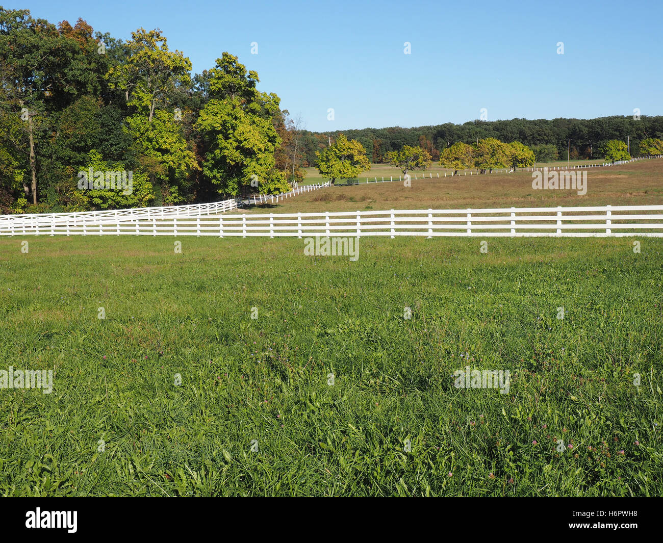 white fence by a field and a country lane in Pennsylvania Stock Photo ...
