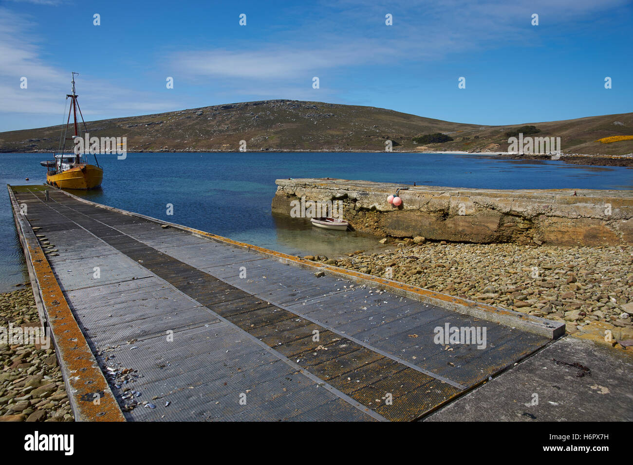 Falklands islands hi-res stock photography and images - Alamy
