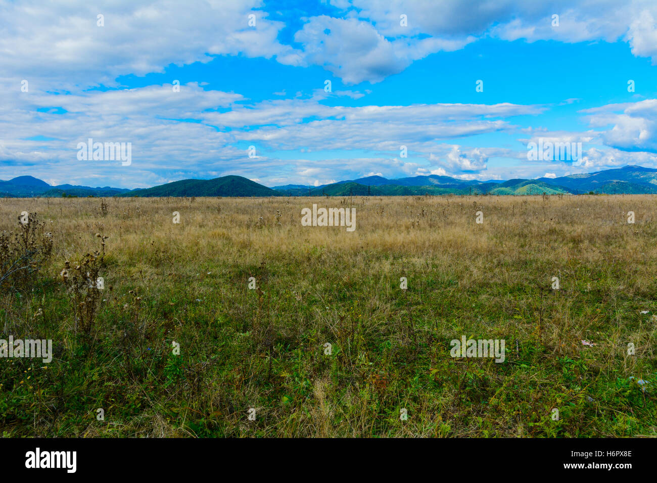 The landscape of fields and mountains in western Ukraine Stock Photo ...