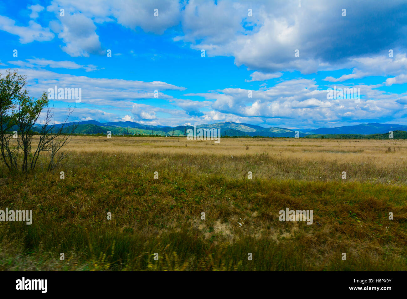 The landscape of fields and mountains in western Ukraine Stock Photo ...