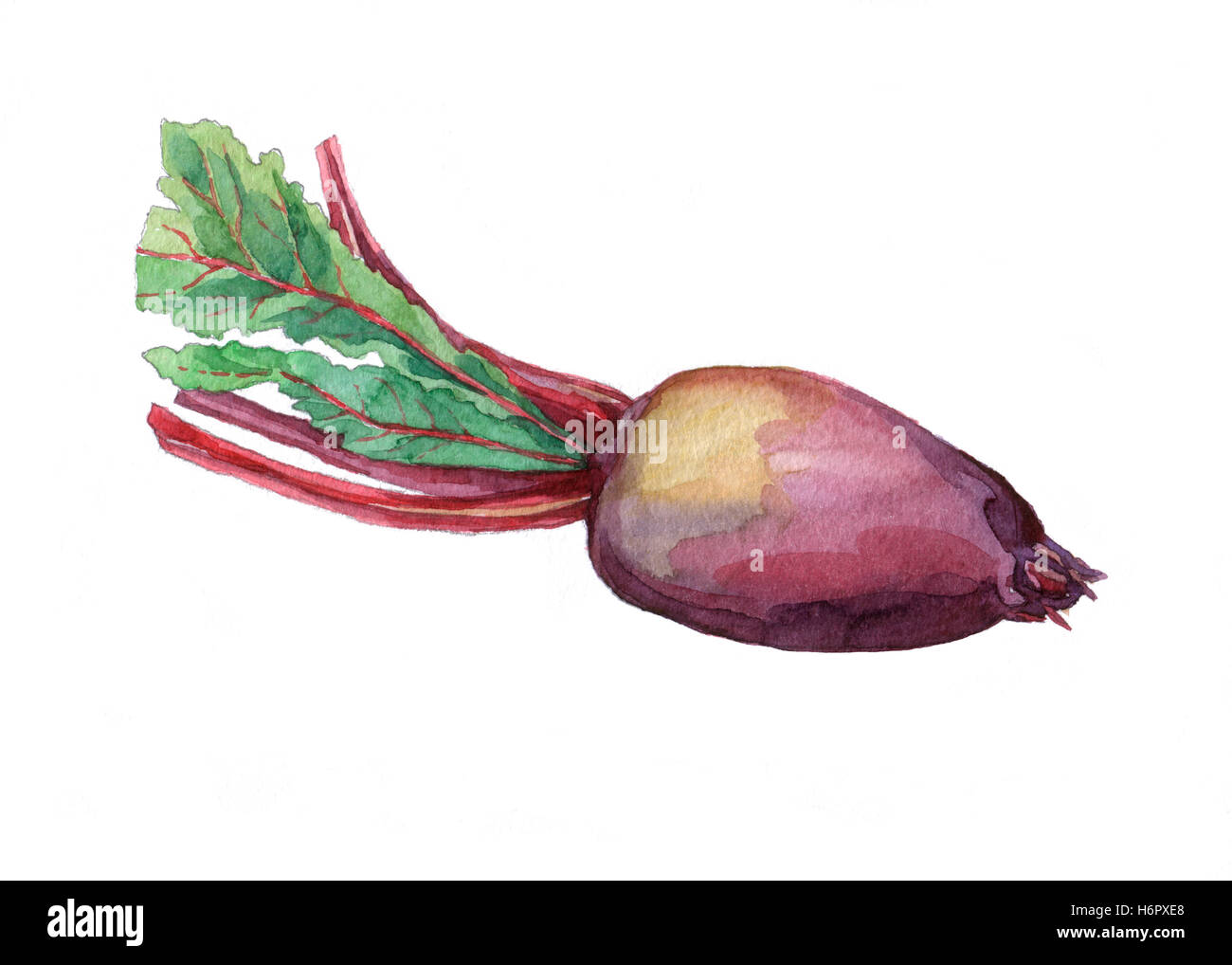 Beet Painting