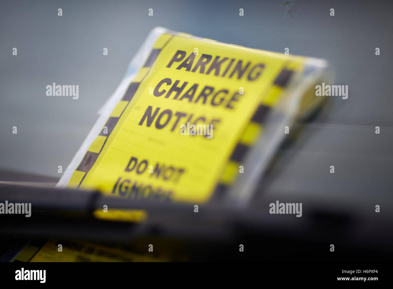 Green Parking Pcn Online Clearance | www.matfink.com.mx