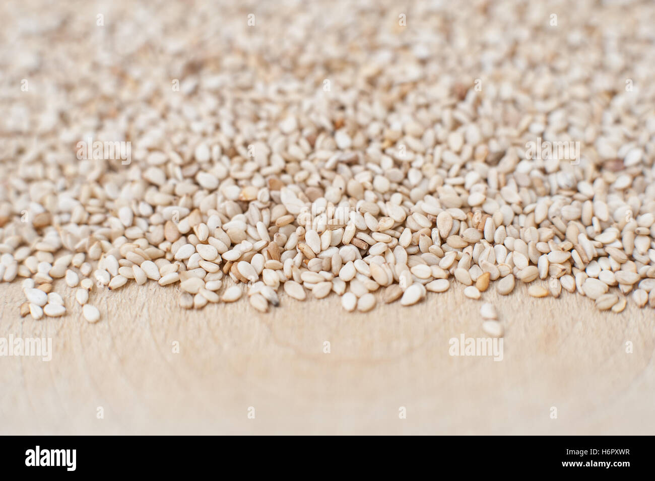 Sesame seeds macro detail with selective focus on horizontal line as ...