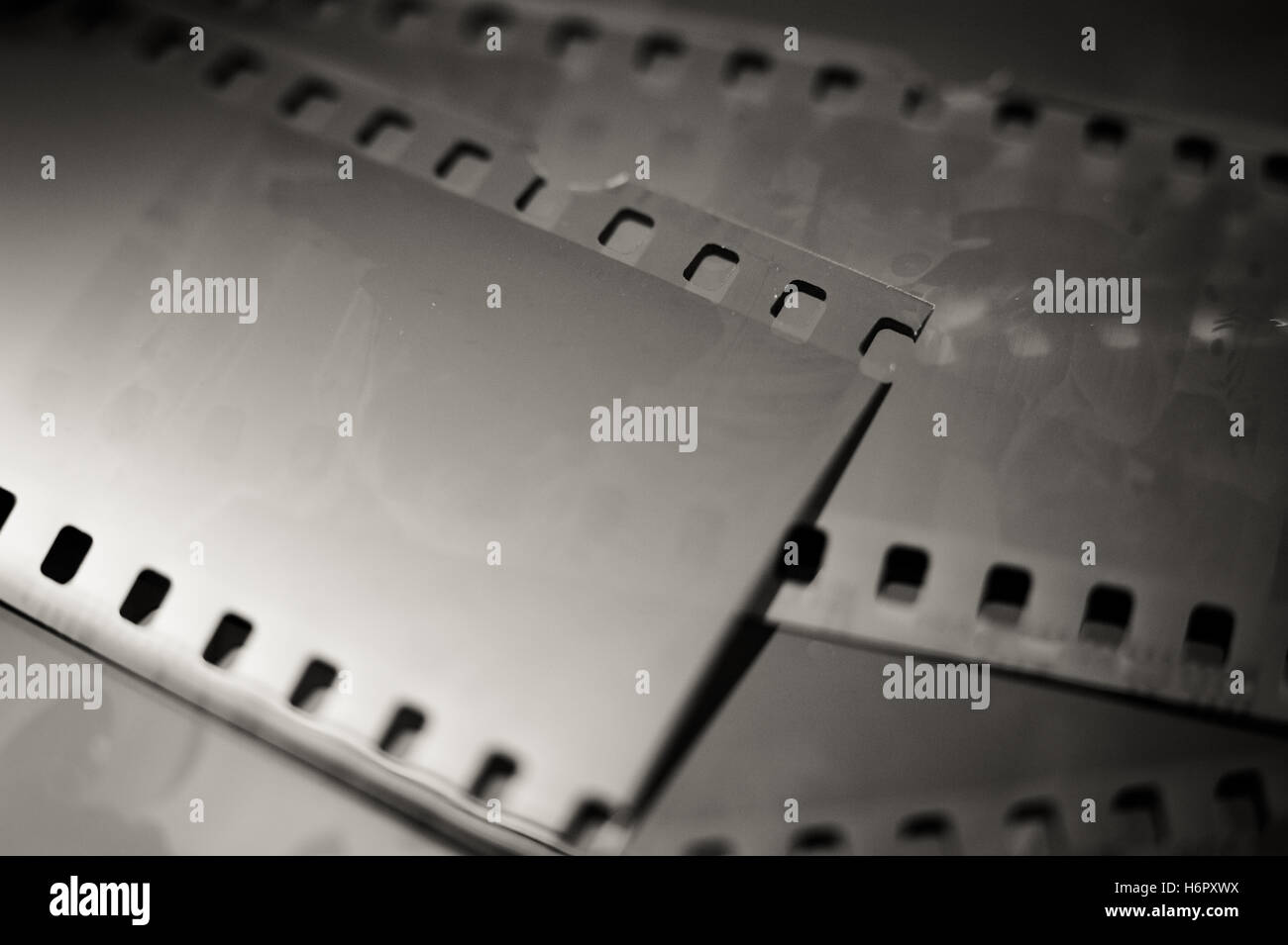 Detail of vintage photography black and white negative film detail in ...