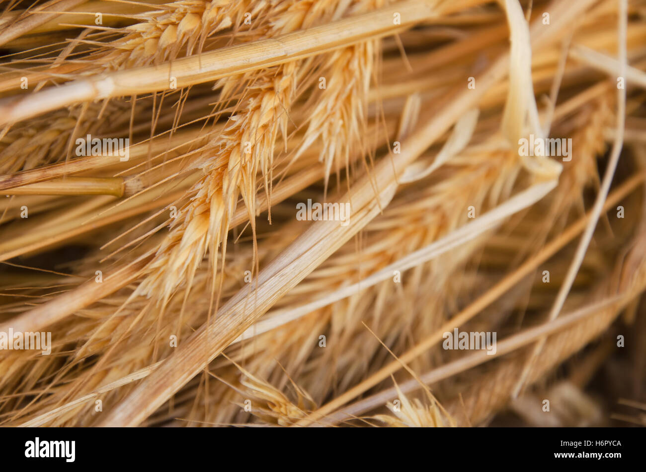 Straw stack hi-res stock photography and images - Alamy