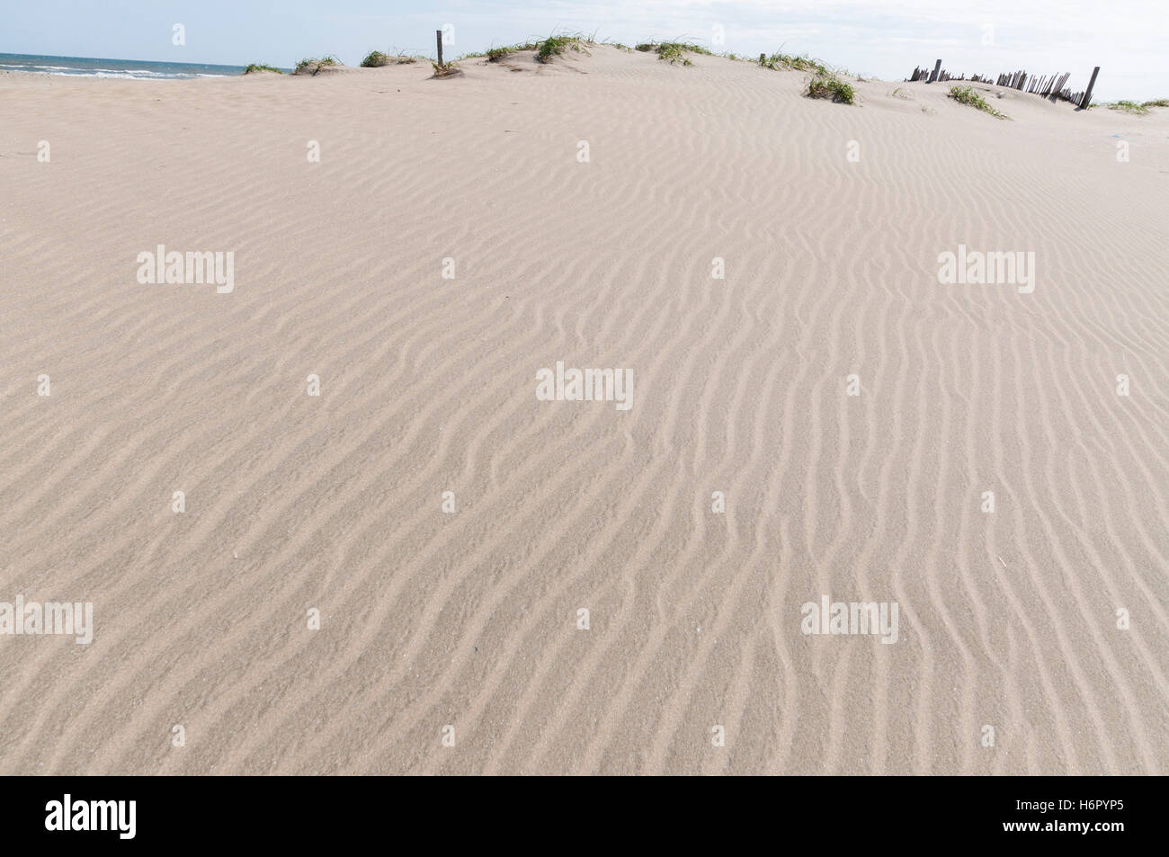 Wind ripple, Kido Beach, Kujukuri, Sanbu-gun, Yokoshiba Hikari-machi ...