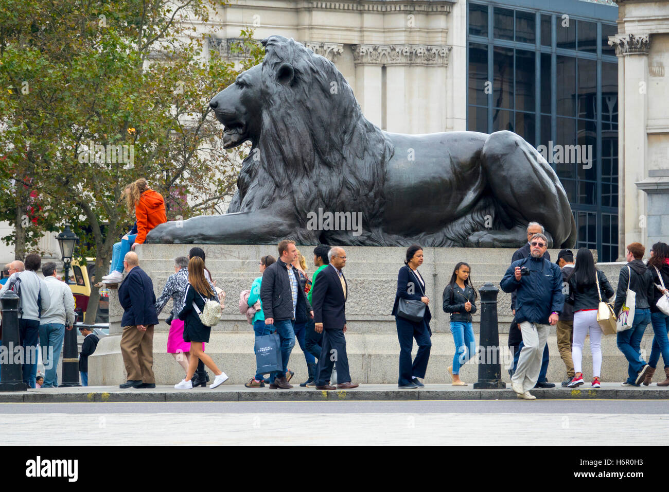 The lions at Trafalgar Square in London - popular place for tourists ...