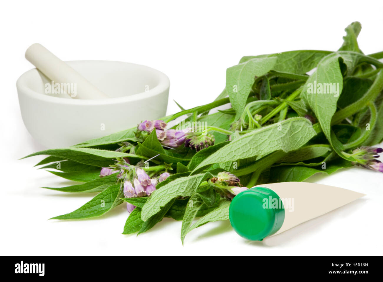 Comfrey cream hi-res stock photography and images - Alamy