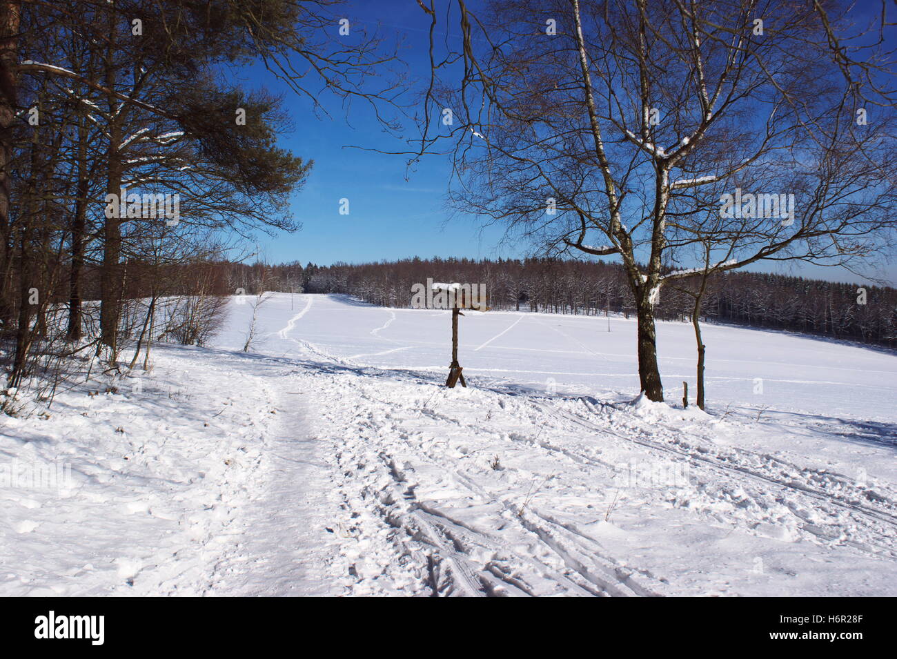 tracks in the snow Stock Photo - Alamy