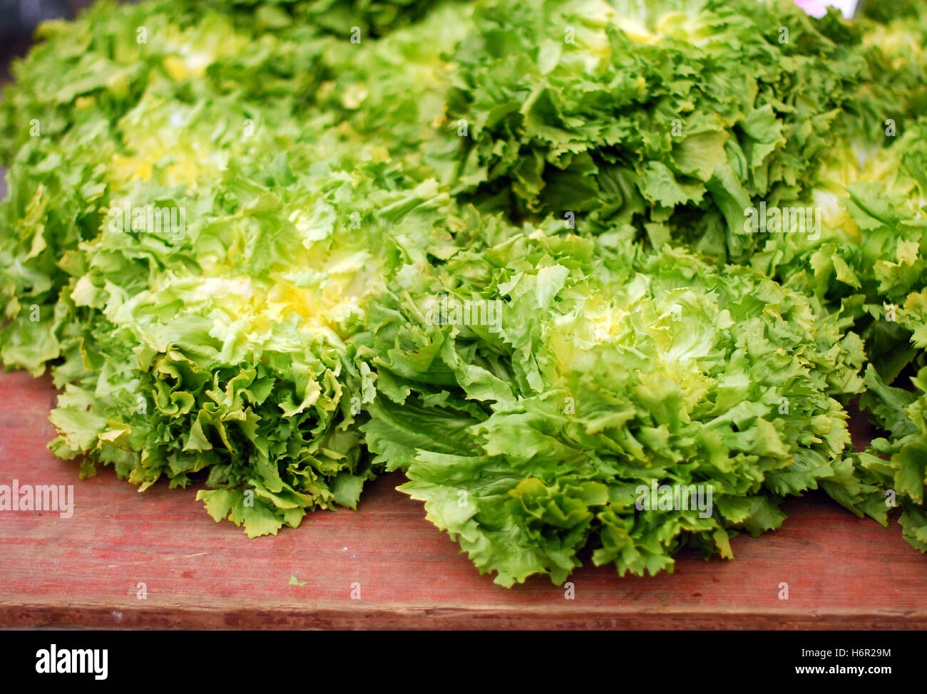 Salad sheet hi-res stock photography and images - Alamy
