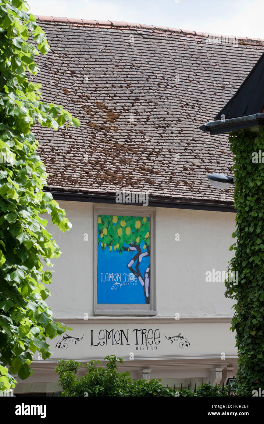 The lemon tree cafe hi-res stock photography and images - Alamy
