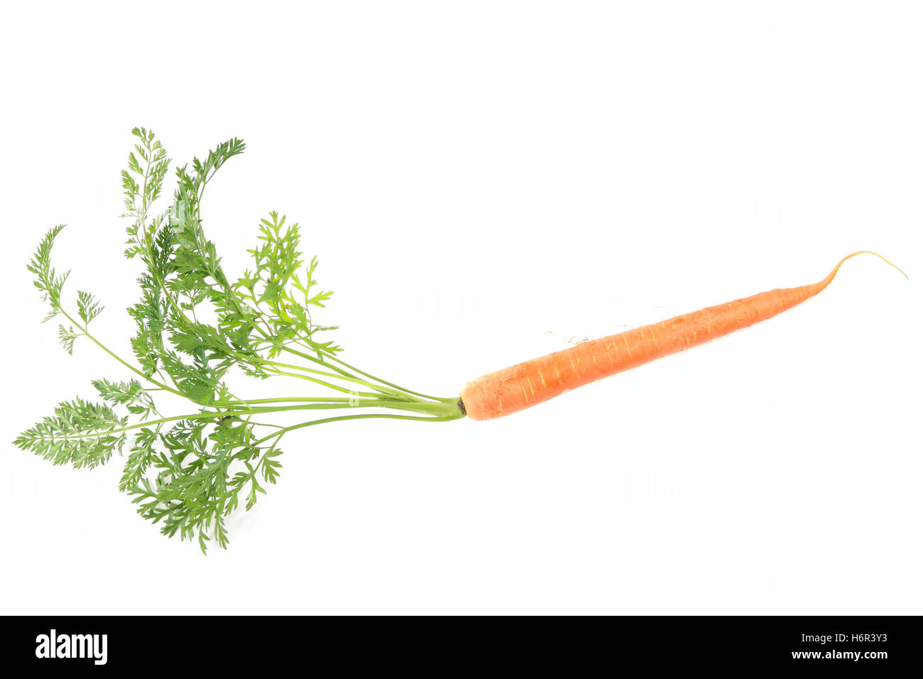 Fruits isolation hi-res stock photography and images - Alamy