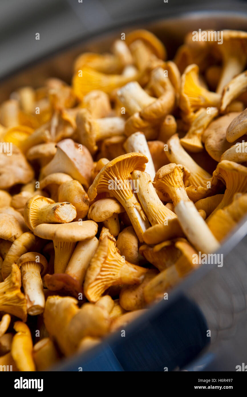 Funnel fruits hi-res stock photography and images - Alamy