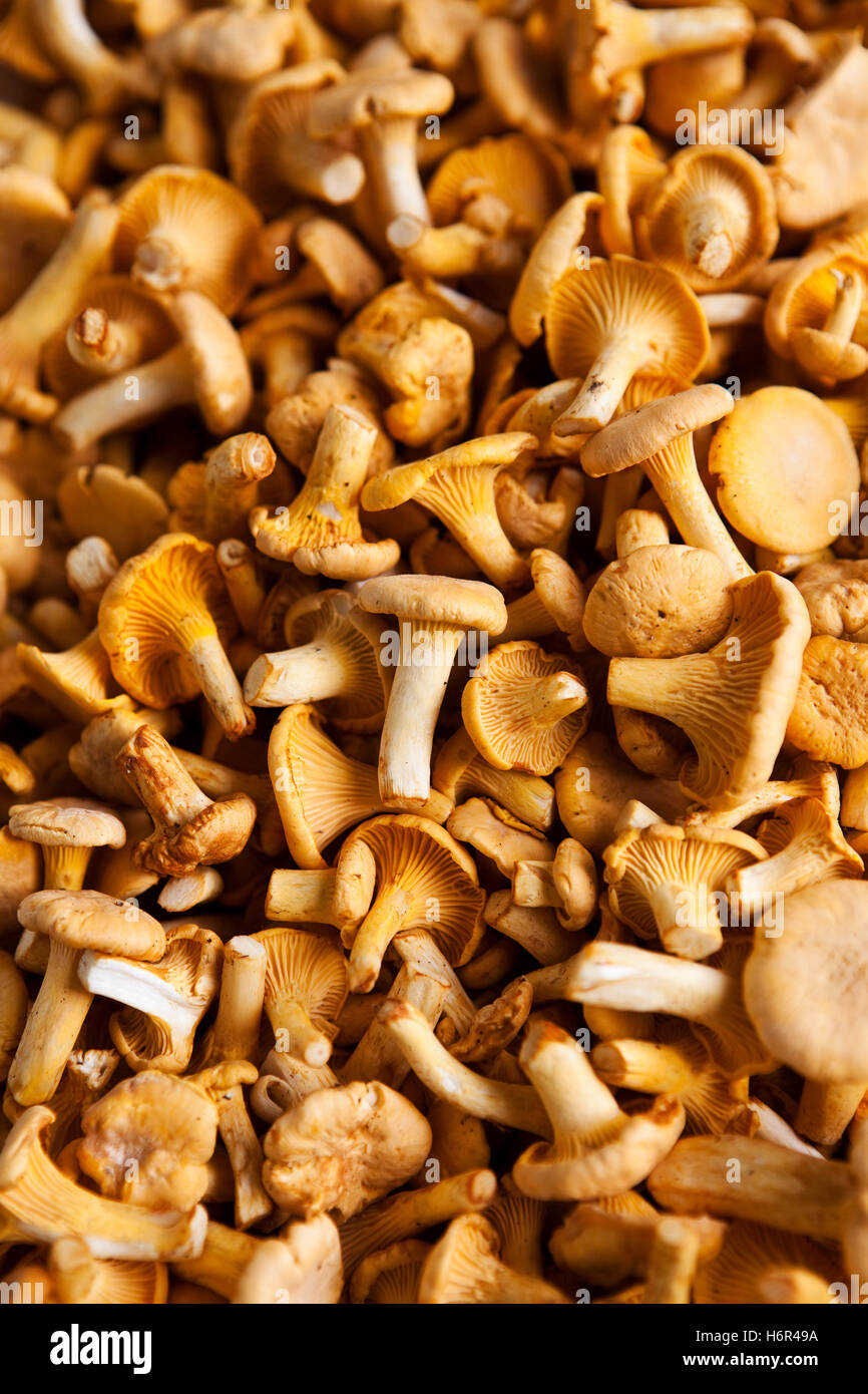 Funnel fruits hi-res stock photography and images - Alamy