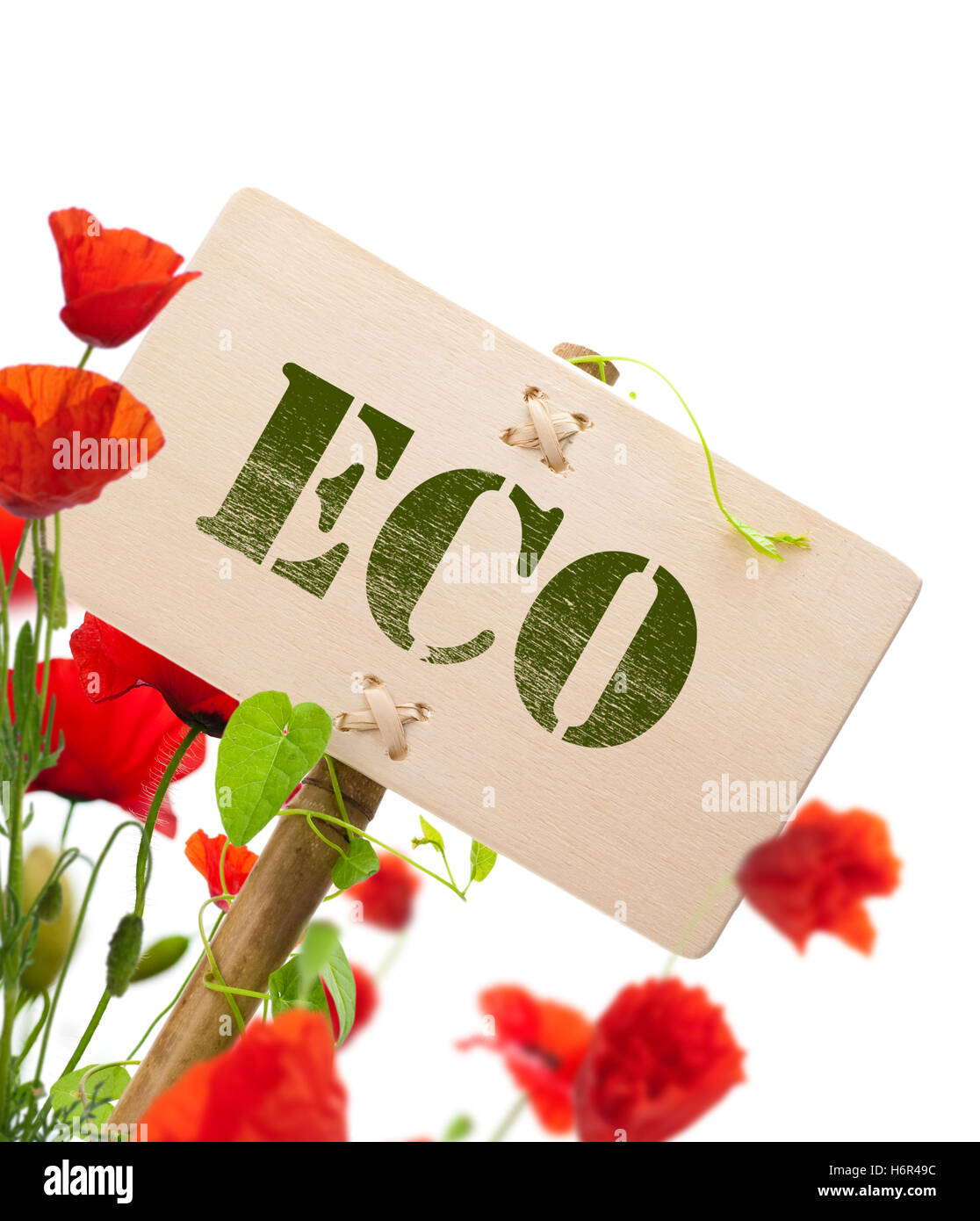 Environmental symbols hi-res stock photography and images - Alamy