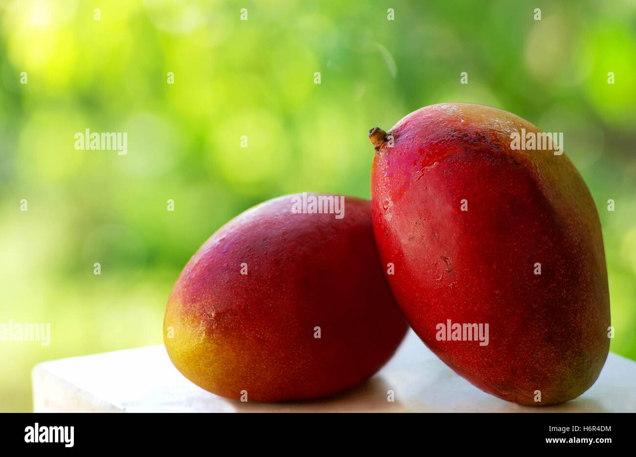Two bright red fruits hi-res stock photography and images - Alamy