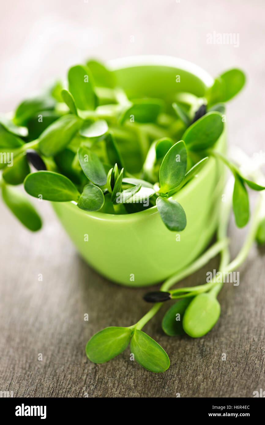 Shoot vegetables hi-res stock photography and images - Alamy