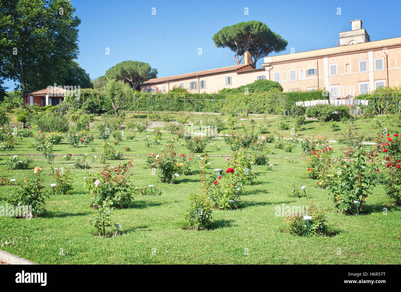 The Rose Garden in Rome Italy Stock Photo - Alamy