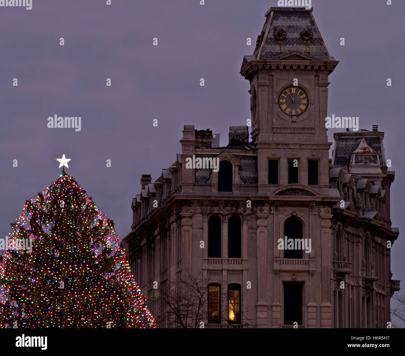 Gothic tree hi-res stock photography and images - Alamy