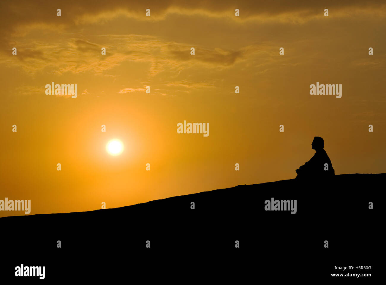 humans human beings people folk persons human human being beautiful ...