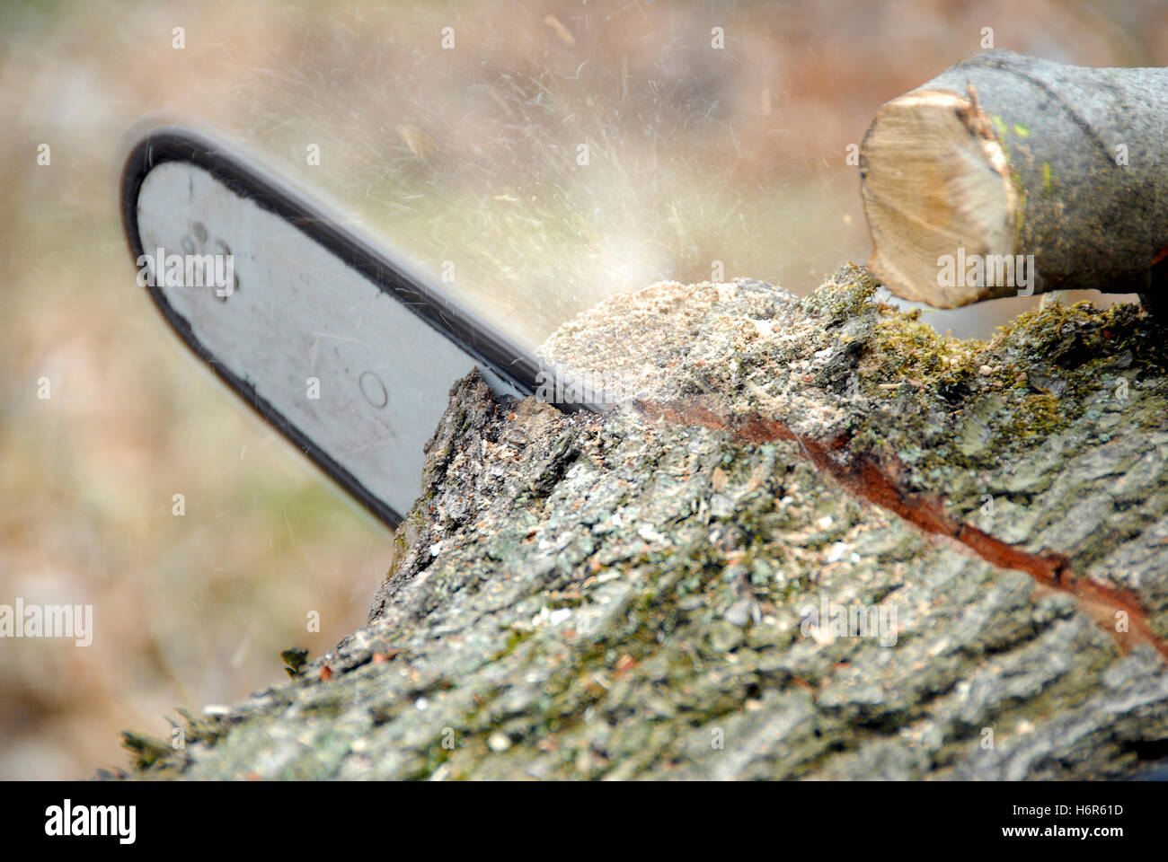Logging machines hi-res stock photography and images - Alamy