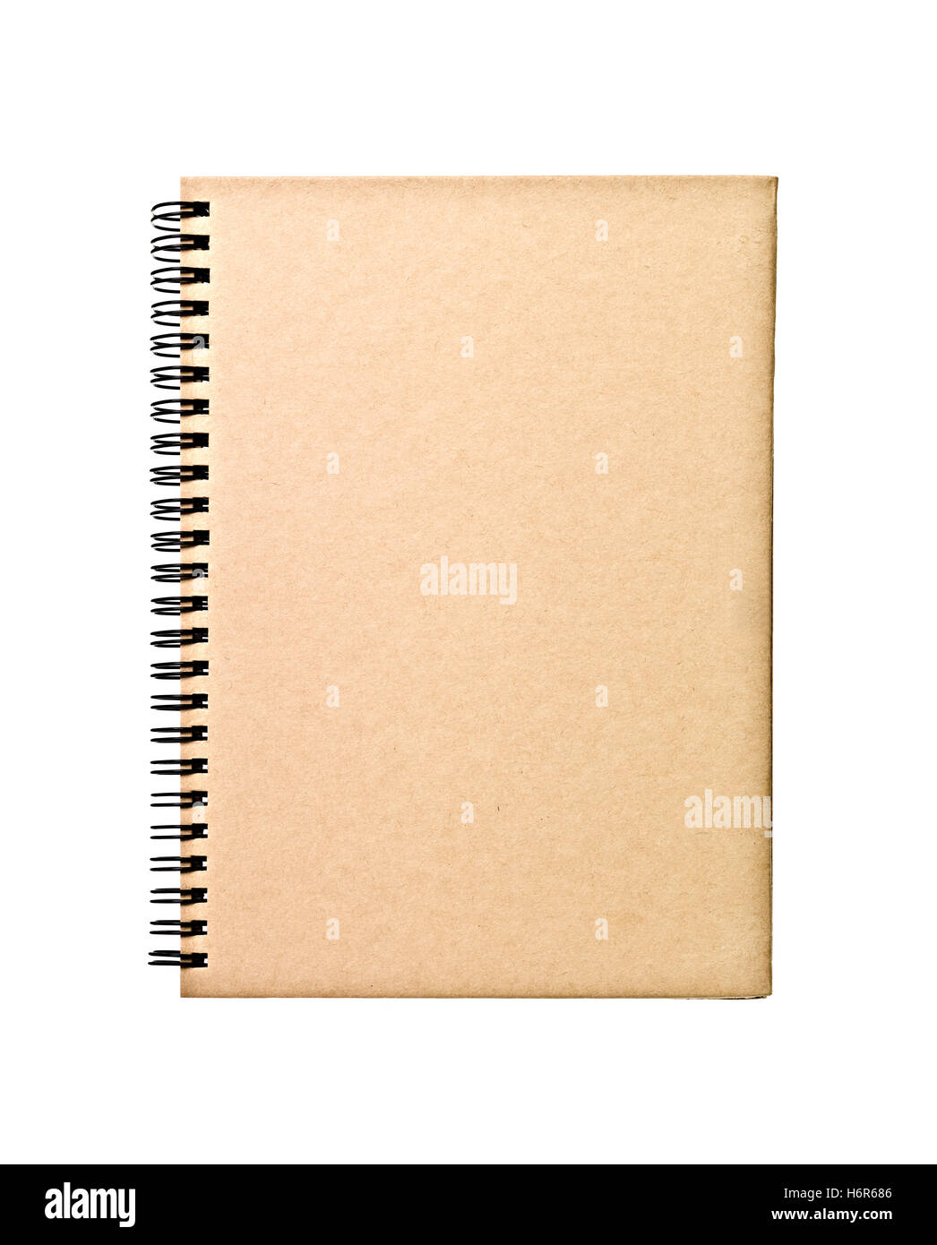 Photo studies Cut Out Stock Images & Pictures - Alamy