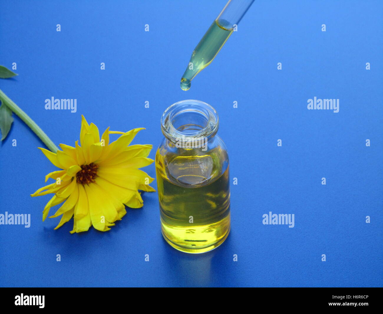 Calendula oil hi-res stock photography and images - Alamy